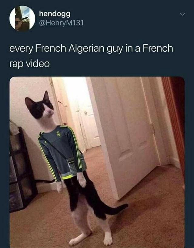 Every French Algerian guy in a French rap video - iFunny