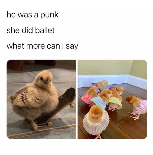 The ballet chicks are cute 🫶🏼 - follow me (@bfflthought) for more 💛 ...