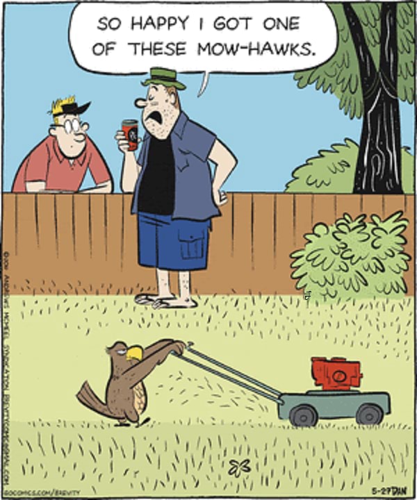 SO HAPPY I GOT ONE OF THESE MOW-HAWKS. - America’s best pics and videos