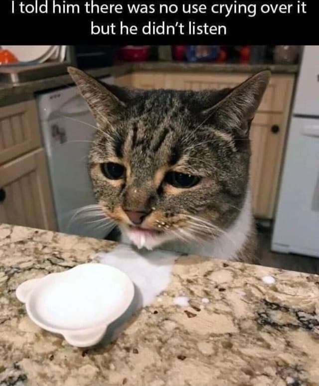 I told him there was no use crying over it but he didn't listen - iFunny