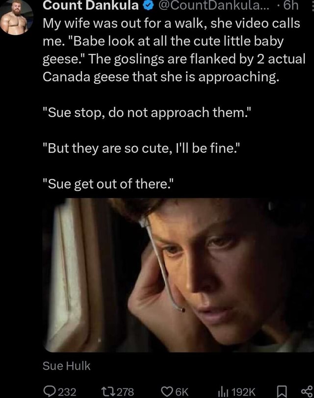 Count Dankula @ @CountDankula... on My wife was out for a walk, she ...