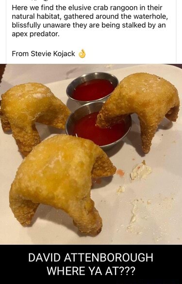 CRAB RANGOON IN ITS NATURAL HABITAT - Here we find the elusive crab ...