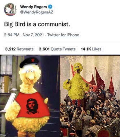 @WendyRogersAZ Wendy Rogers @ Big Bird is a communist. PM - Nov 7, 2021 ...