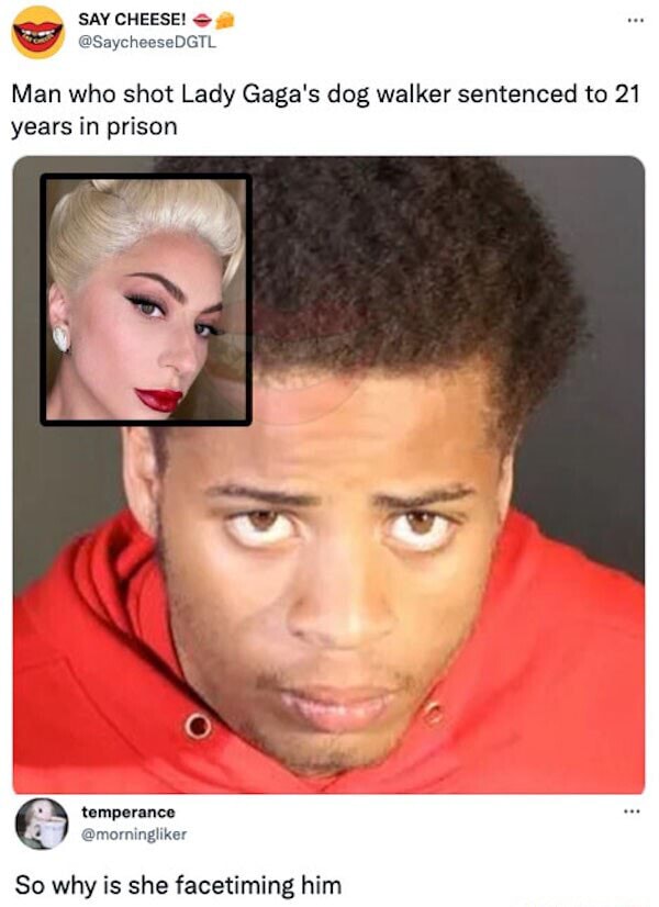 SAY CHEESE' DSaycheeseDGTL Man who shot Lady Gaga's dog walker ...