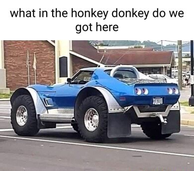 What in the honkey donkey do we got here - iFunny