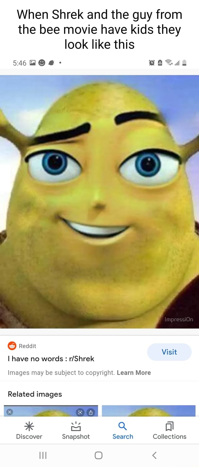 When Shrek and the guy from the bee movie have kids they look like this ...