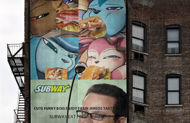 CUTE FURRY BOIS IN A SUBWAY AD WITH JARED UwU XDD XD - CUTE FURRY BOIS ...