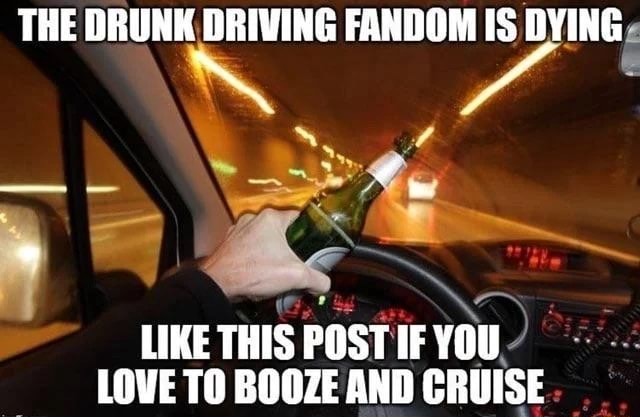 THE DRUNK DRIVING FANDOM IS DYING LIKE THIS POST IF YOU LOVE TO BOOZE ...