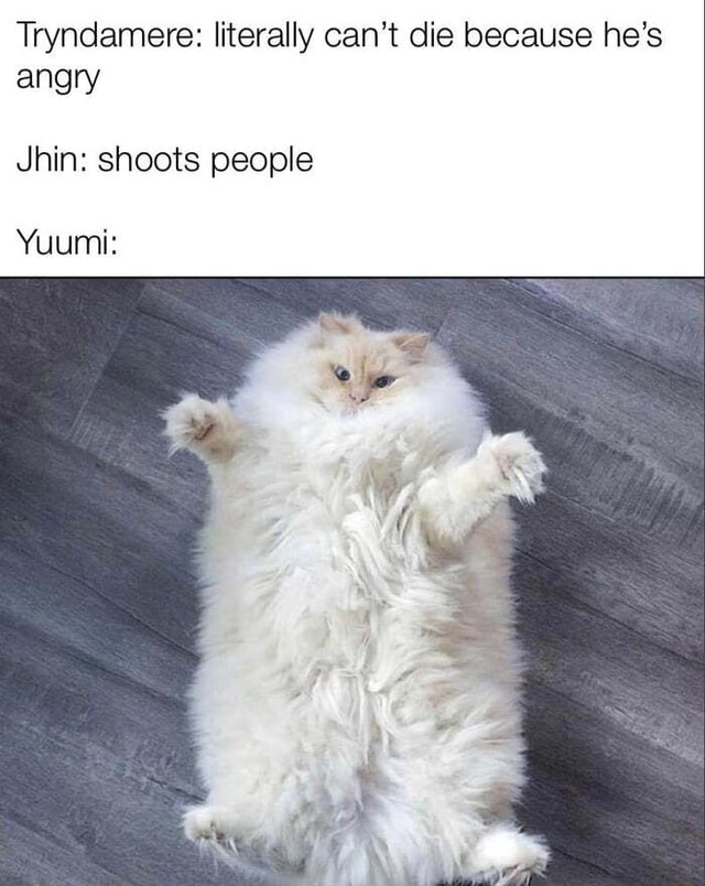 Tryndamere: literally can't die because he's angry Jhin: shoots people ...