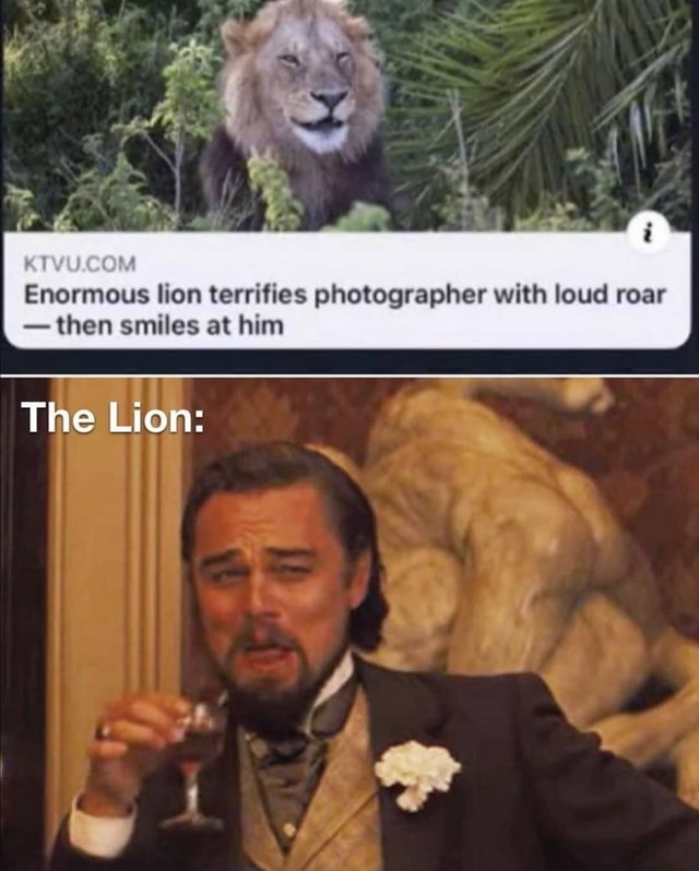 Enormous lion terrifies photographer with loud roar - then smiles at ...