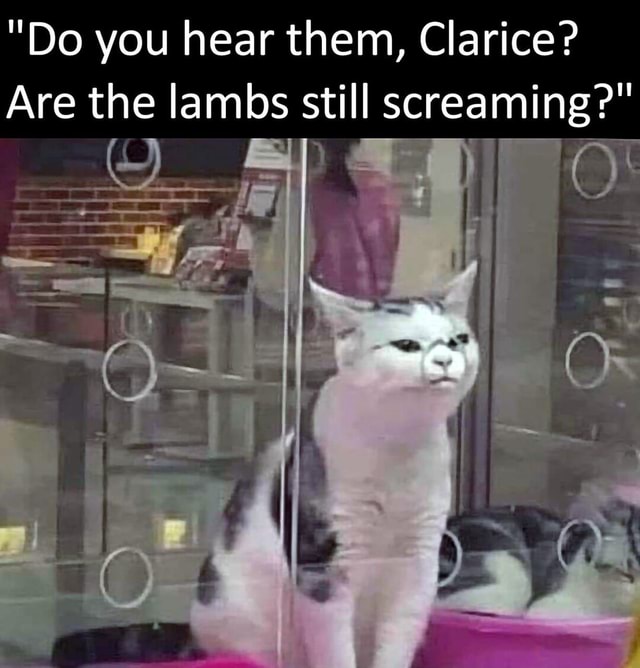 "Do you hear them, Clarice? Are the lambs still screaming?" I - iFunny