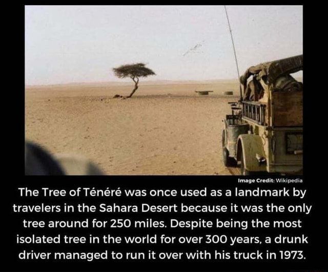 Image Credit: Wikipedia The Tree of Ténéré was once used as a landmark ...