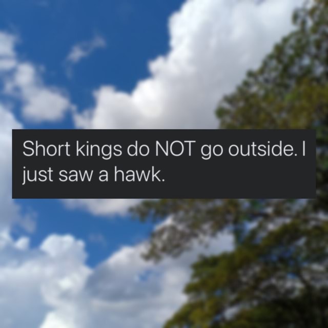 Short kings do NOT go outside. I just saw a hawk. - iFunny