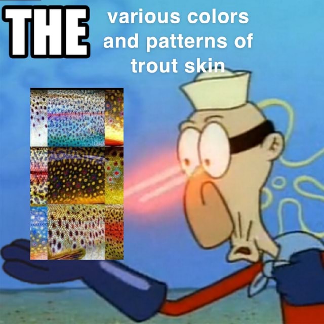 Various colors and patterns of trout skin - iFunny