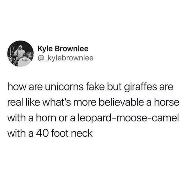 How are unicorns fake but giraffes are real like what's more believable ...
