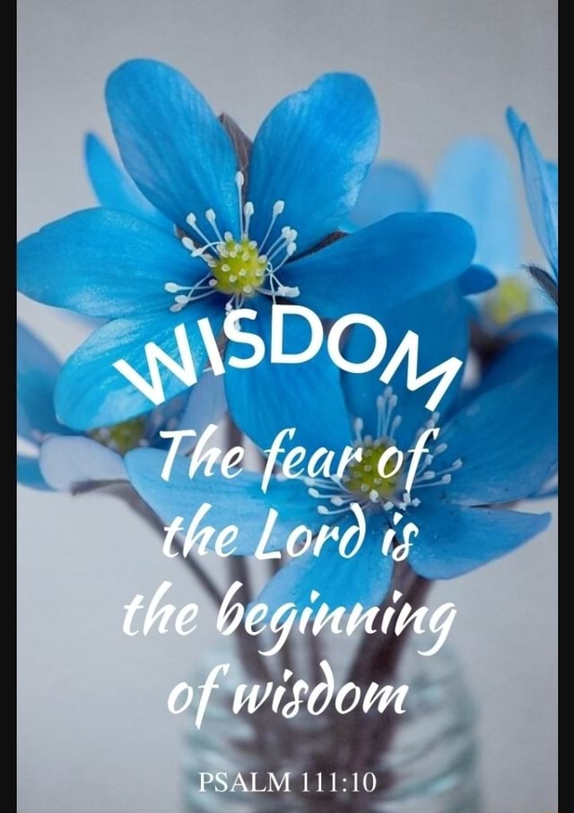 Ax The fear of the Lora is the beginning of wisdom PSALM - iFunny