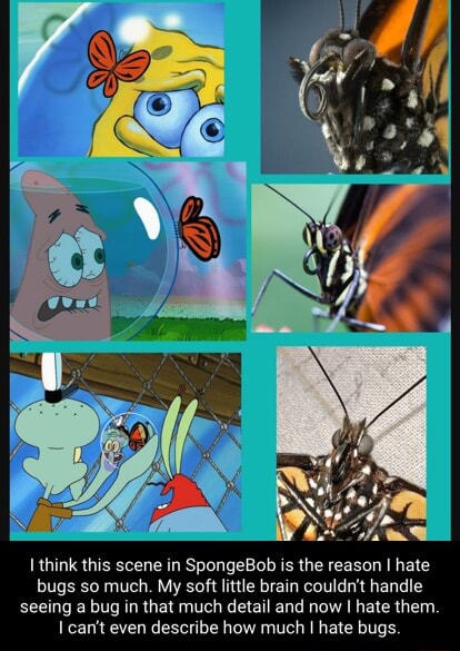 I think this scene in SpongeBob is the reason I hate bugs so much. My soft little brain couldn't ...
