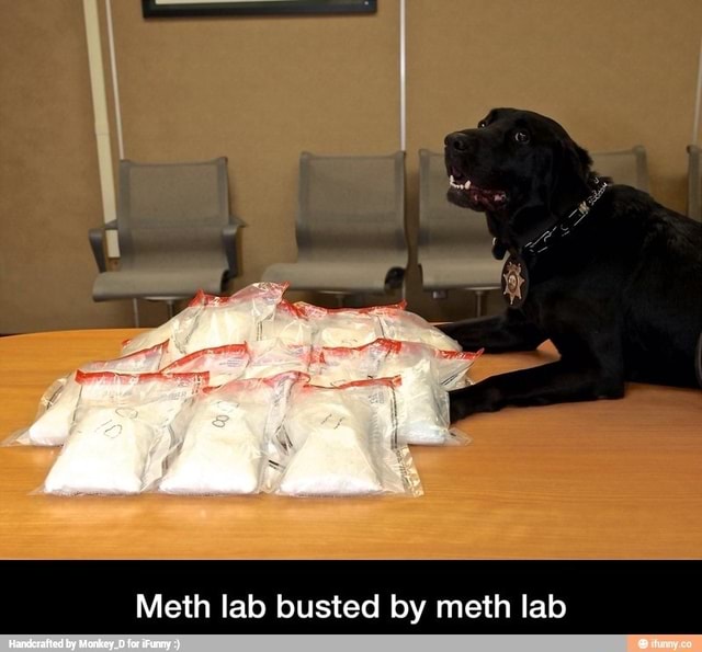 Meth lab busted by meth lab Handeratted by Monkey_D for iFunay - iFunny