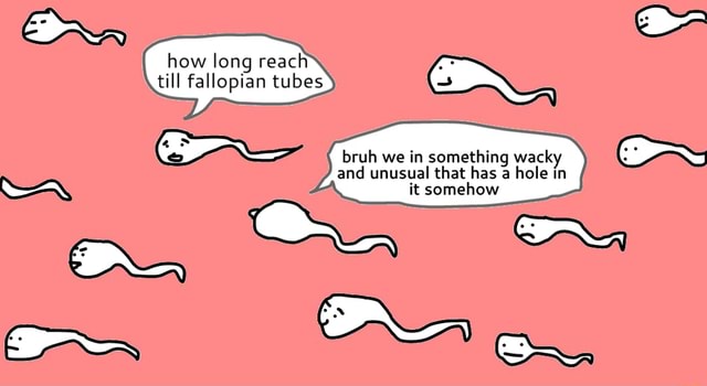 How long reach till fallopian tubes bruh we in something wacky and ...