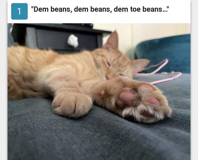 "Dem beans, dem beans, dem toe beans...' - iFunny