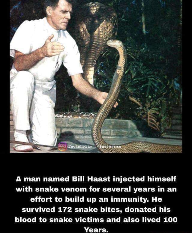 A man named Bill Haast injected himself with snake venom for several ...