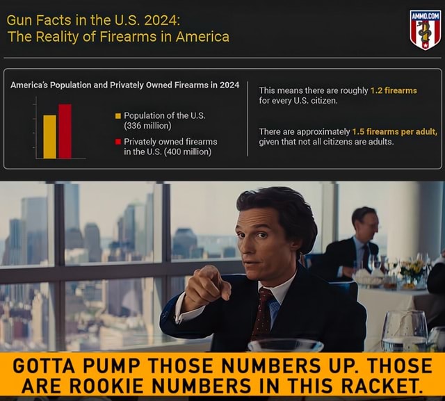 Gun Facts in the U.S. 2024: The Reality of Firearms in America America ...