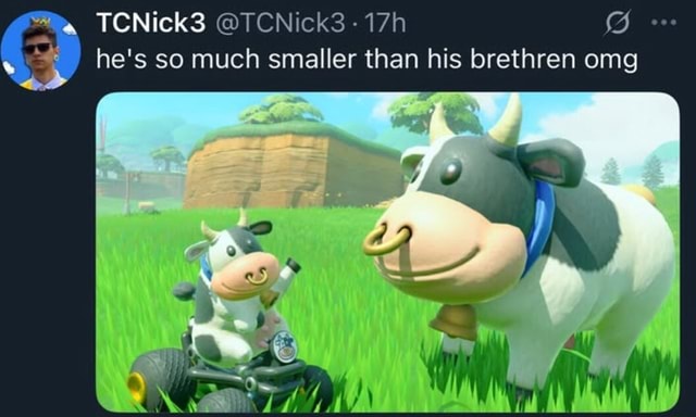 Tcnick3 Tcnick3 Hes So Much Smaller Than His Brethren Omg Ifunny