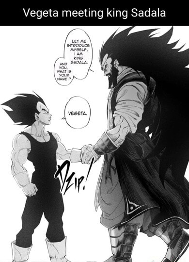 Vegeta meeting king Sadala - iFunny