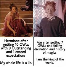 HP meme w/ Ron vs Hermione - HP meme w/ Ron vs Hermione Ron after ...