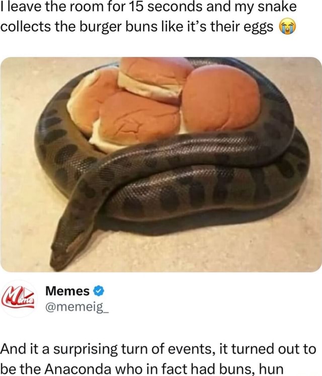 I leave the room for 15 seconds and my snake collects the burger buns ...