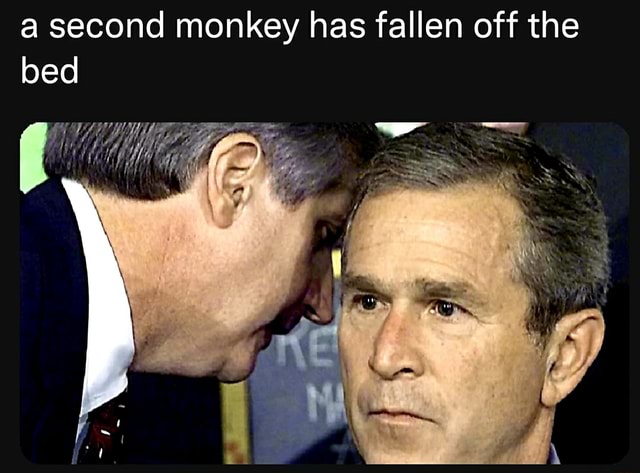 A second monkey has fallen off the bed - iFunny