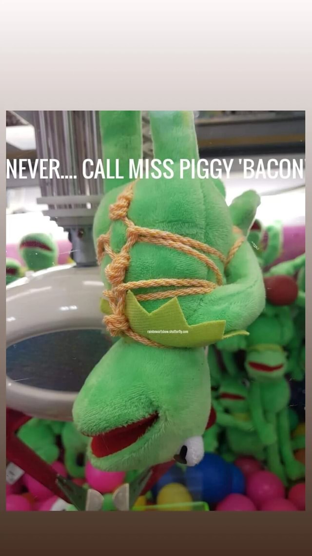 NEVER... CALL MISS PIGGY 'BACON - America’s best pics and videos
