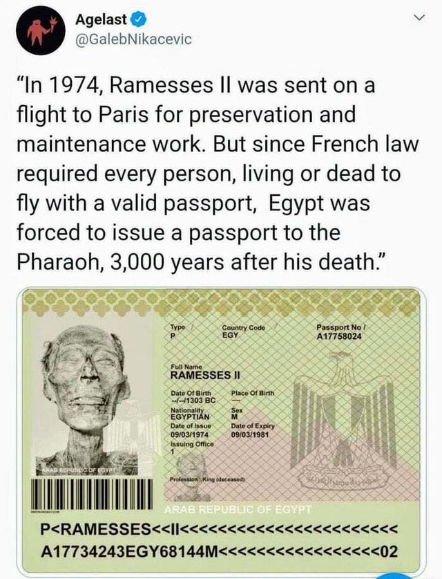 "In 1974, Ramesses II was sent on flight to Paris for preservation and ...