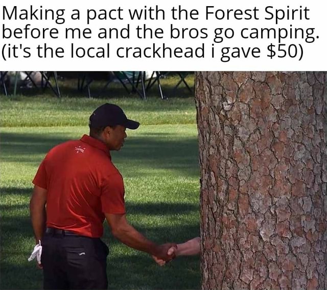 Making a pact with the Forest Spirit before me and the bros go camping ...
