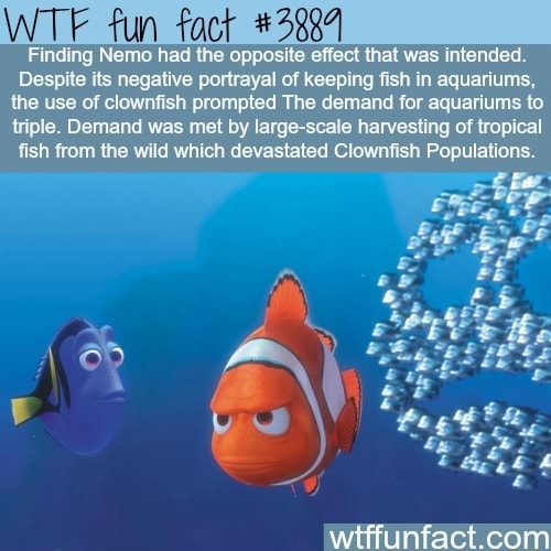 WTF fun _fact Finding Nemo had the opposite effect that was intended ...