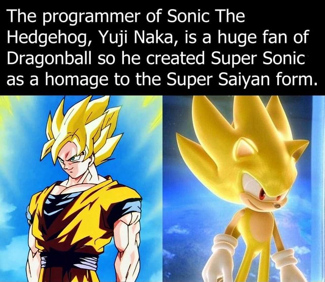 The programmer of Sonic The Hedgehog, Yuji Naka, is a huge fan of ...