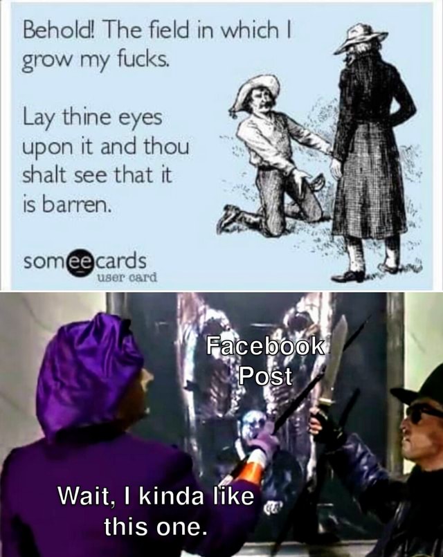 Behold! The field in which I grow my fucks. Lay thine eyes upon it and ...