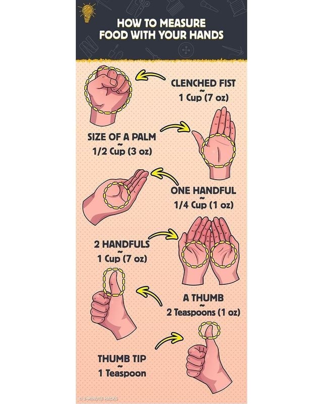 HOW TO MEASURE FOOD WITH YOUR HANDS CLENCHED FIST 1 Cup (7 07) SIZE OF ...