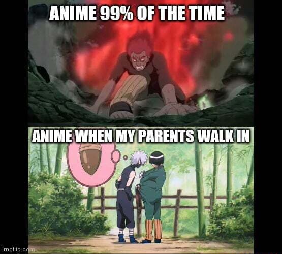 ANIME 99% OF THE TIME ANIME WHEN MY PARENTS WALK IN - iFunny
