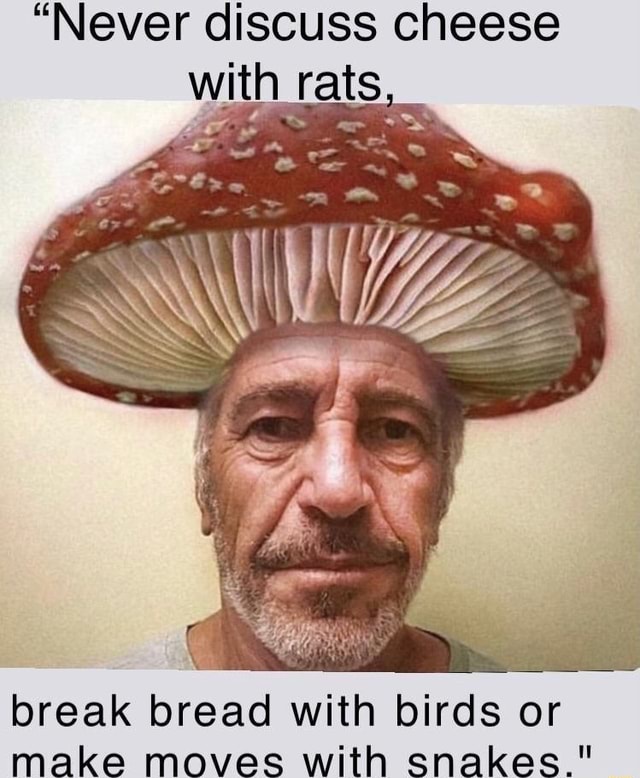 "Never discuss cheese rats er fl Ss break bread with birds or make ...