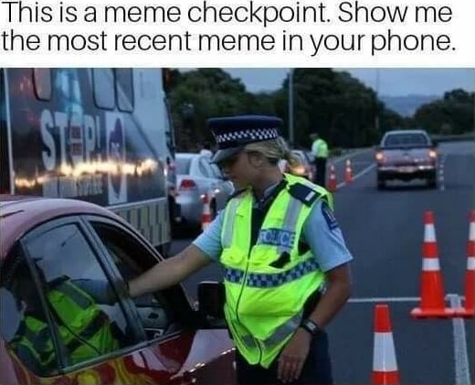 This is meme checkpoint. Show me the most recent meme in your phone ...