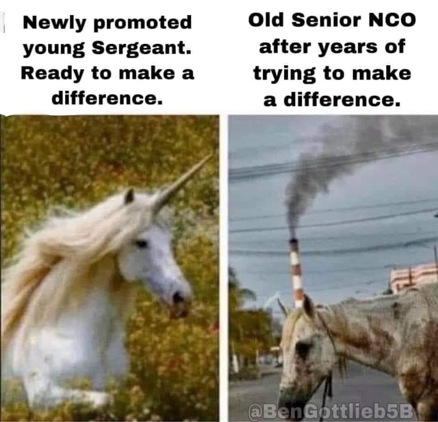 Newly promoted Old Senior NCO young Sergeant. after years of Ready to ...