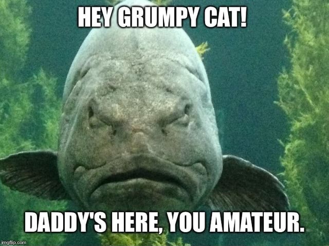 Facebook.com/reelfishingmemes Instagram.com/deennswillow - HEY GRUMPY ...