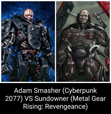 Adam Smasher (Cyberpunk 2077) VS Sundowner (Metal Gear Rising ...