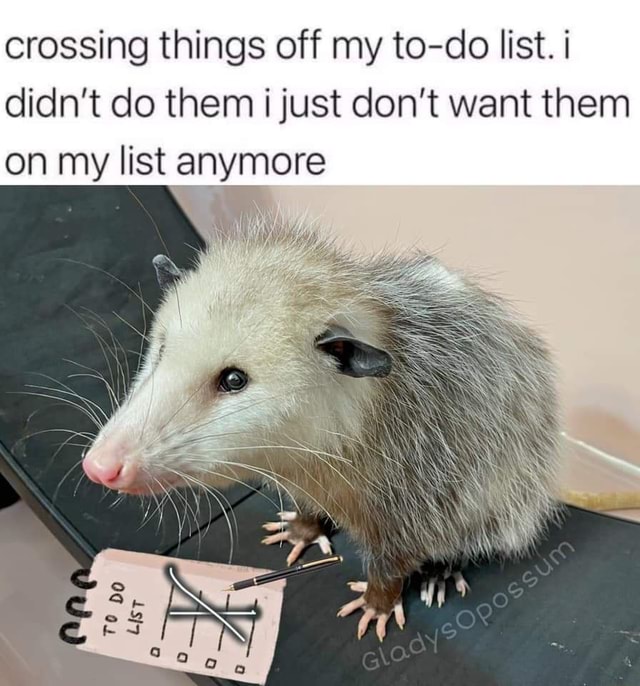 Crossing things off my to-do list. didn't do them just don't want them ...