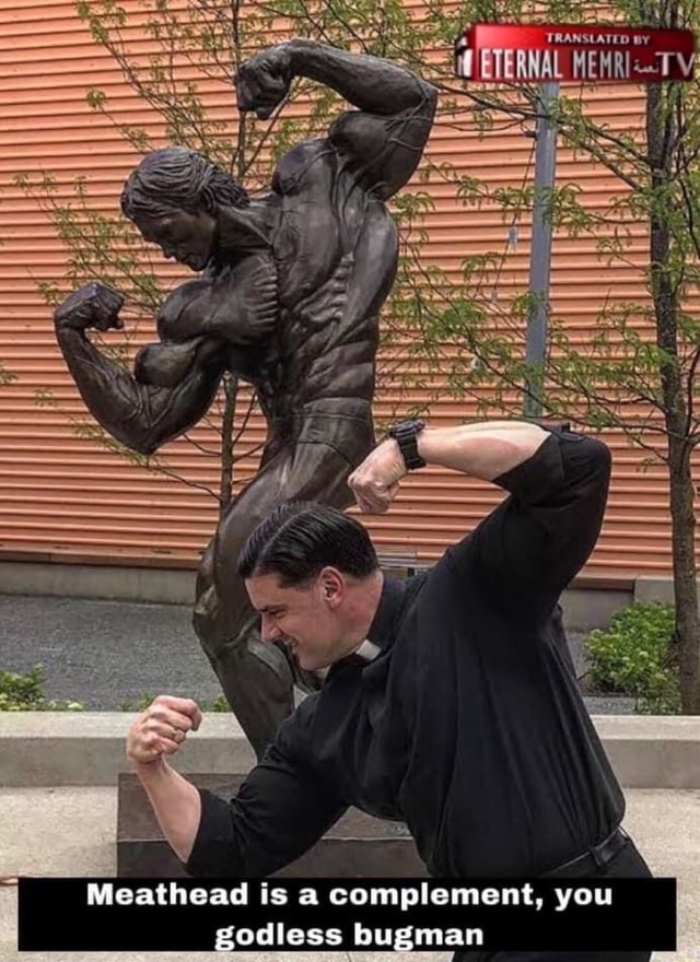 Meathead is a complement, you é godless bugman - iFunny
