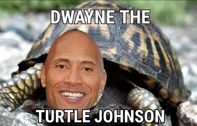 DWAYNE THE TURTLE JOHNSON - iFunny