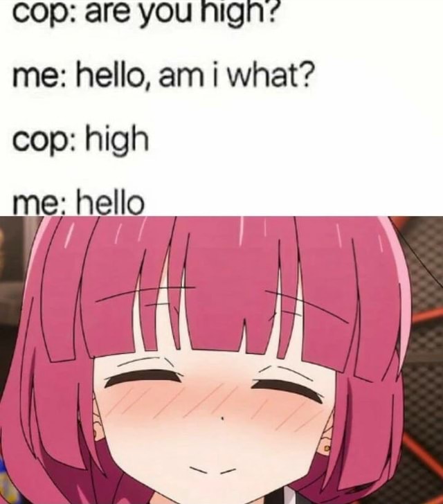 Cop: are you me: hello, am what? cop: high me: hello - iFunny