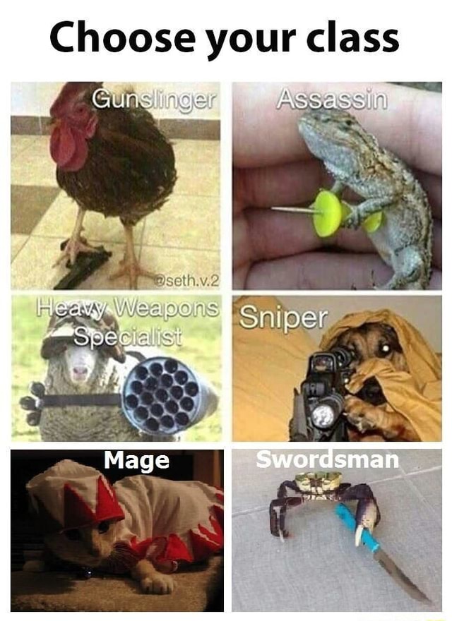 Choose your class Sniper Swor - iFunny