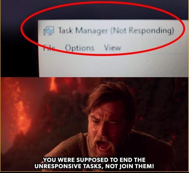 YOU WERE SUPPOSED TO END THE UNRESPONSIVE TASKS, NOT JOIN THEM! - iFunny